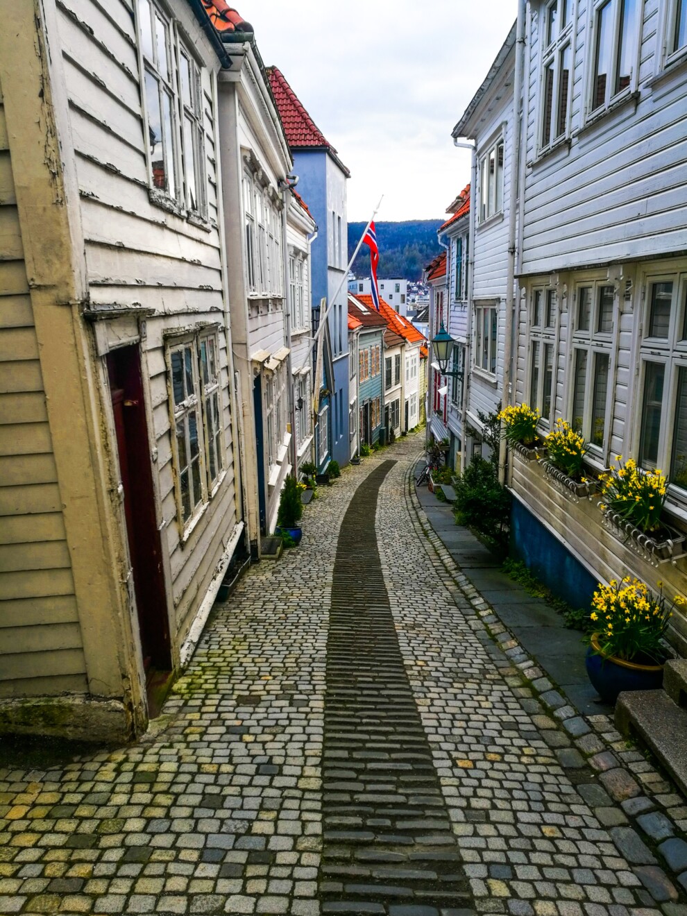 Due giorni a Bergen: cosa vedere tra fiordi e patrimoni unesco - MondoVagando
