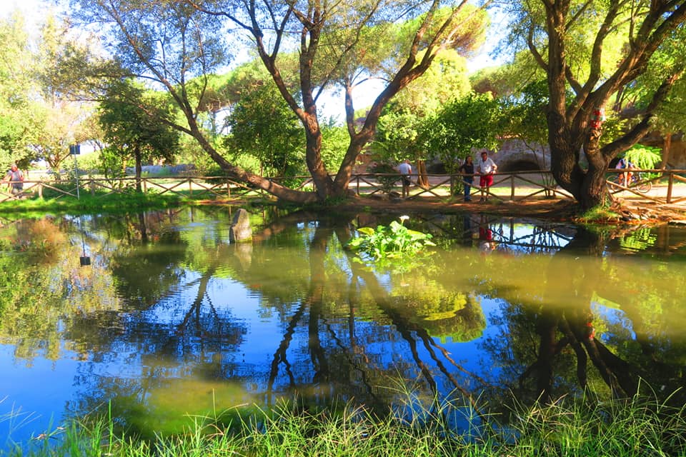 Parco degli Acquedotti, tra verde e resti della Roma di un tempo ...