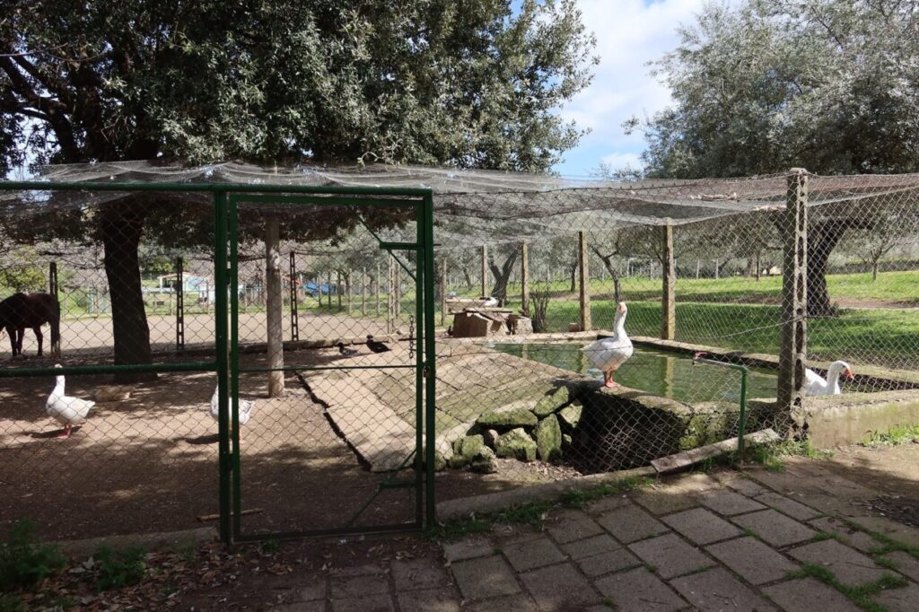 La Fattoria di Valentino, vicino Roma: una "braciata" nel verde ...
