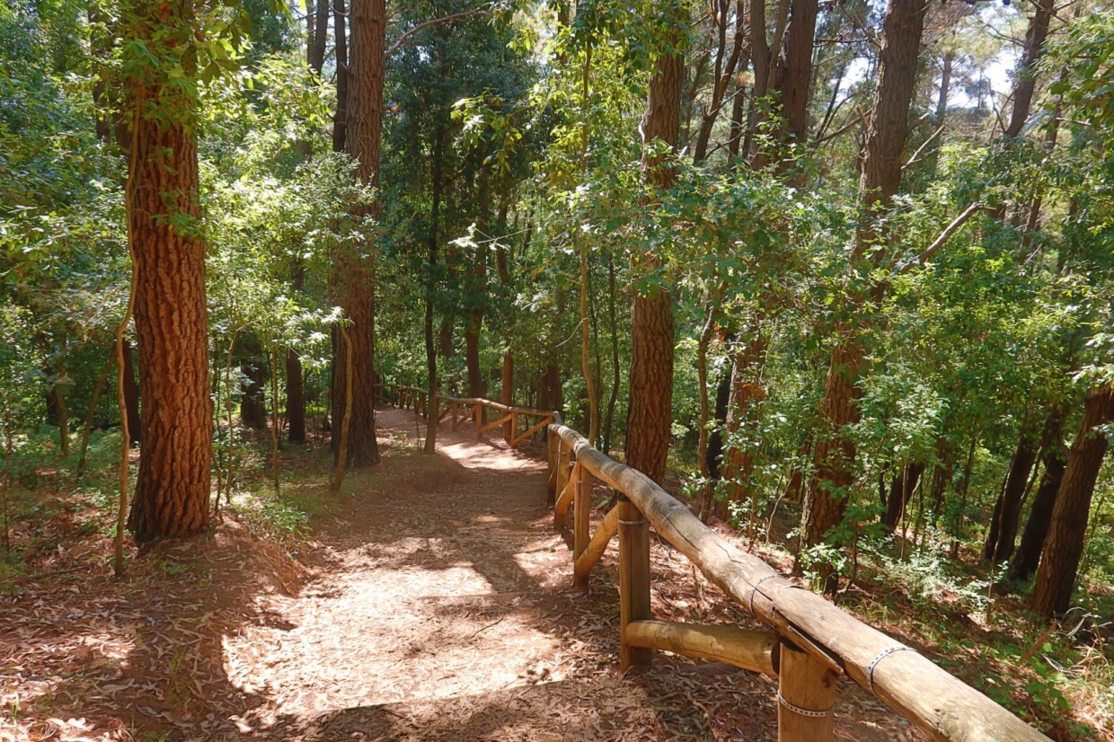 Visitare Curinga, piccolo e sconosciuto borgo della Calabria tirrenica ...