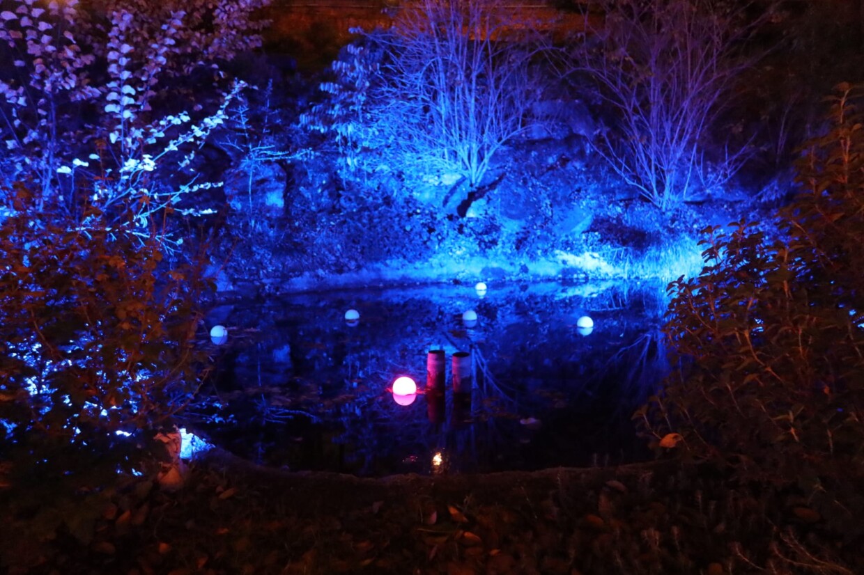 Trame di Luce 2024: Roma si illumina di luci, colori e suoni - MondoVagando